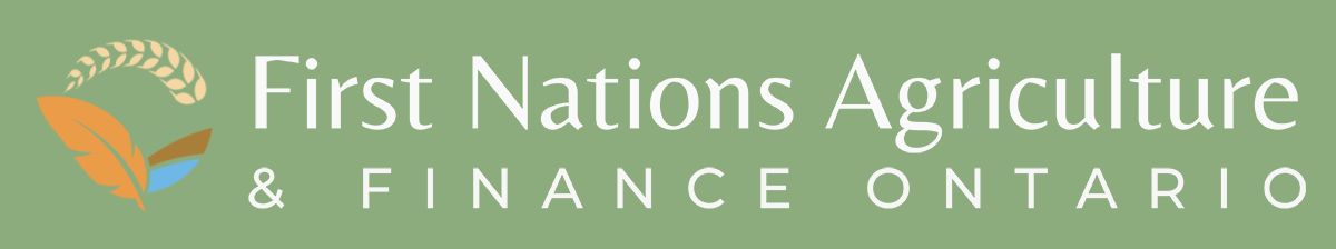 First Nations Women’s Entrepreneurship Program (FNWE) – First Nations ...